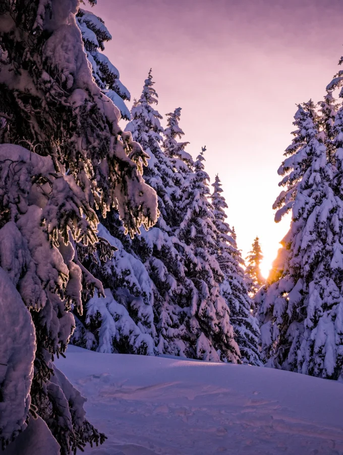 Cluses Arve & Montagnes : Tourisme à Cluses et villages alentours