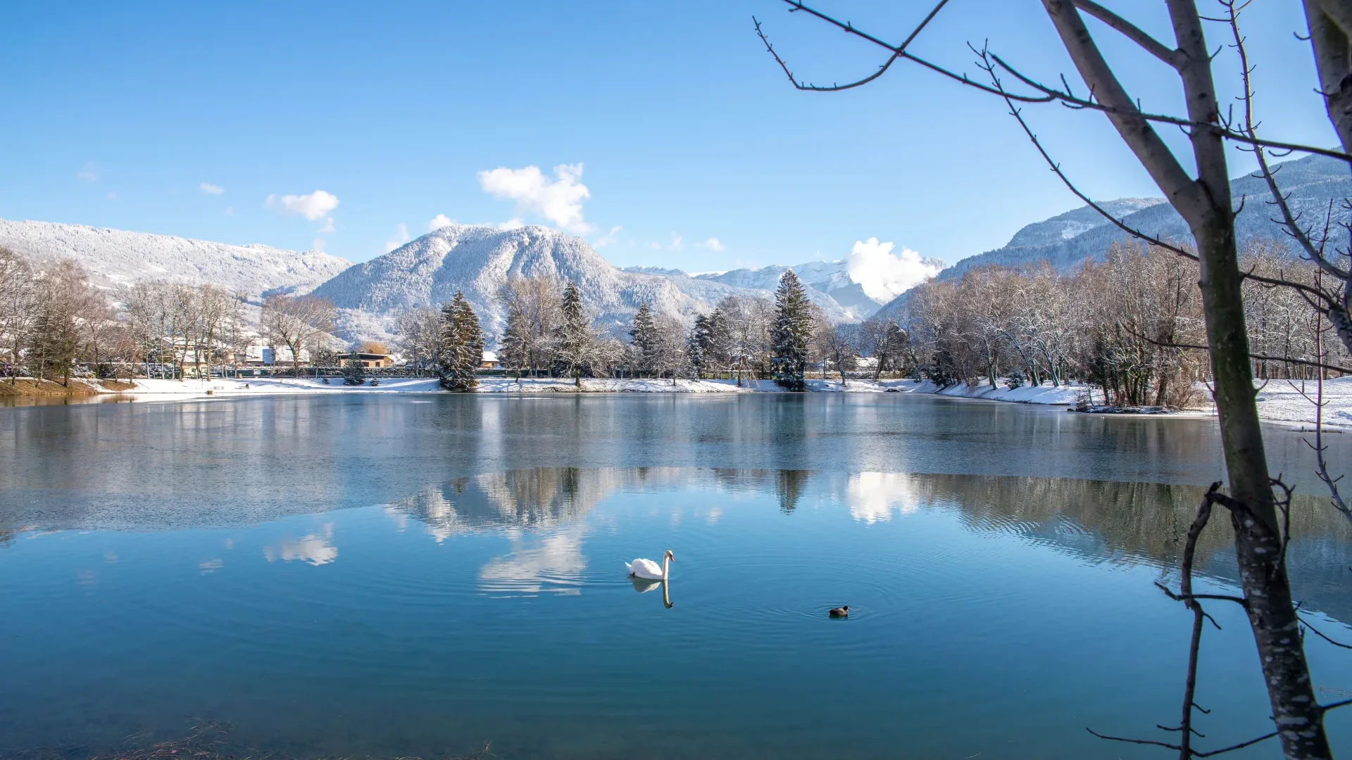 Thyez - Cluses Arve & montagnes